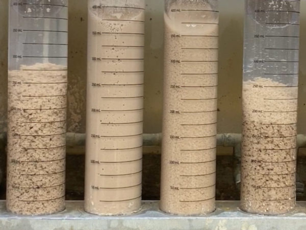 Advanced Polymer Systems for Water Treatment